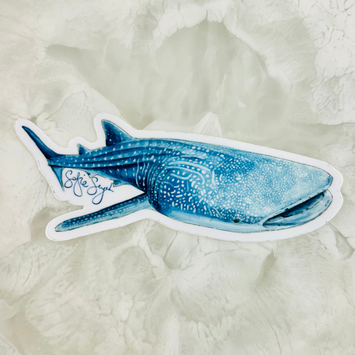 Wally Whale Shark Sticker – Cafe Collective WA