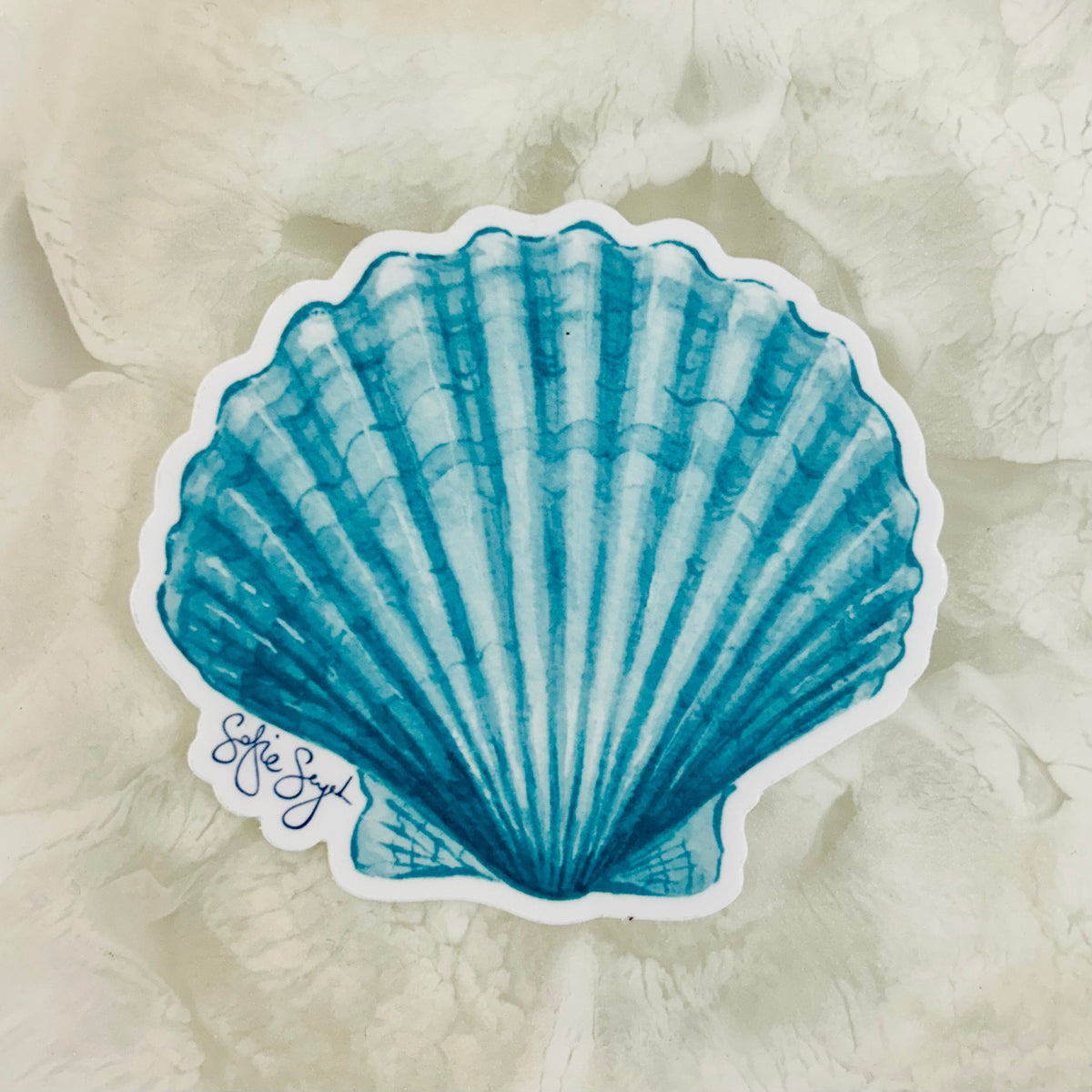 Scallop Shell Sticker – Cafe Collective WA