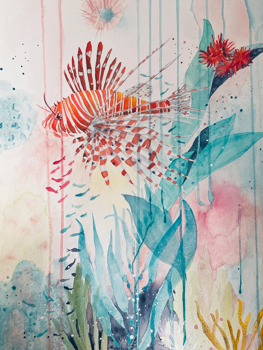 Lionfish Print – Cafe Collective WA